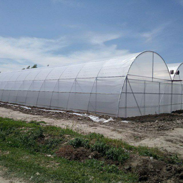 issiqxona | Smart-market.uz