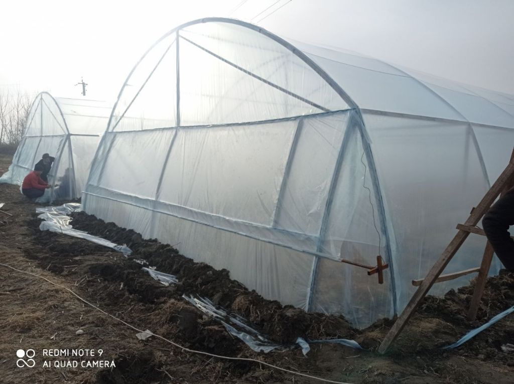 Иссиқхона | Smart-market.uz